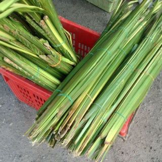 Daun palas | ketupat palas pulut | Shopee Malaysia