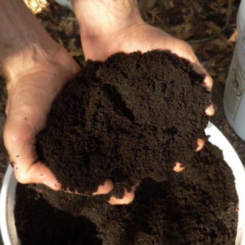 Premium Vermicompost Worm Poo Baja Organik Vermicompost Baja Tahi ...
