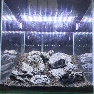 Premium Seiryu/Acid Washed Seiryu/Ryuoh Stone (Aquascape/Aquarium/Rock ...