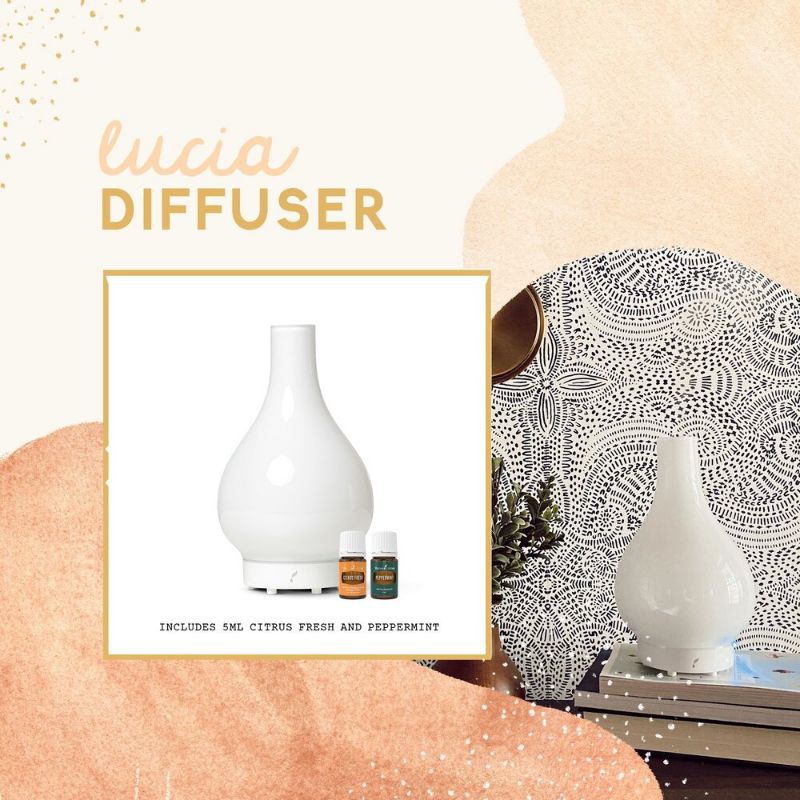 YOUNG LIVING LUCIA ARTISAN Diffuser (set with 5ml Citrush Fresh and ...