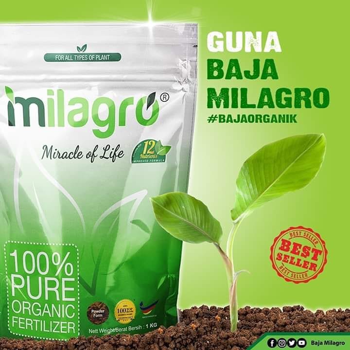 Milagro Baja Organik 1 Kg (MEE) | Shopee Malaysia