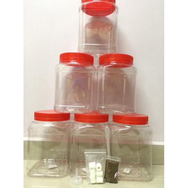 Tank, Bekas ikan, ikan laga, guppy, betta, cupang, aquarium, bekas ...