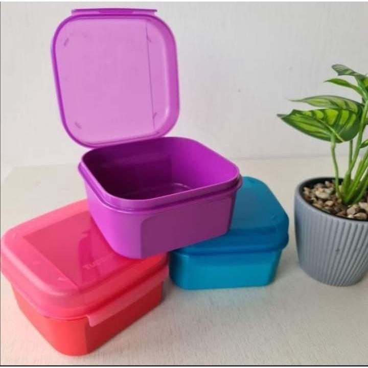 TUPPERWARE MINI SIGNATURE LINE (1) 450ML | Shopee Malaysia