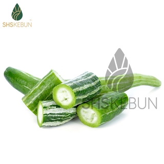 Baba Benih Labu Ular Snake Gourd F1 Hybrid Non-GMO Seeds VE-066 SHS ...