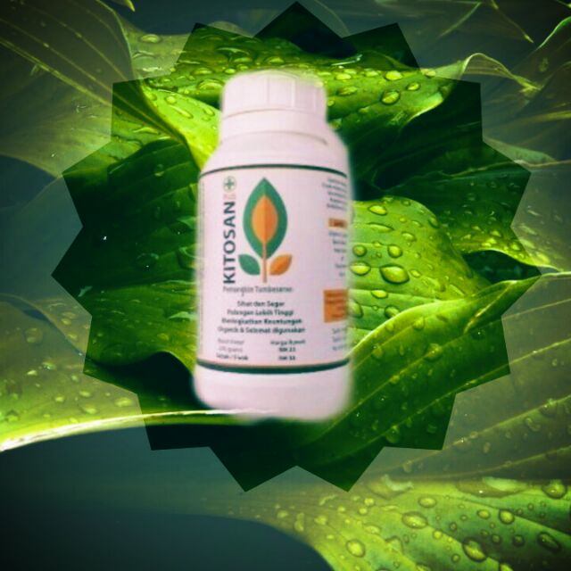 KitosanPlus 350 Gram/Baja Dan Racun Serangga Bio Organik/Pemangkin ...