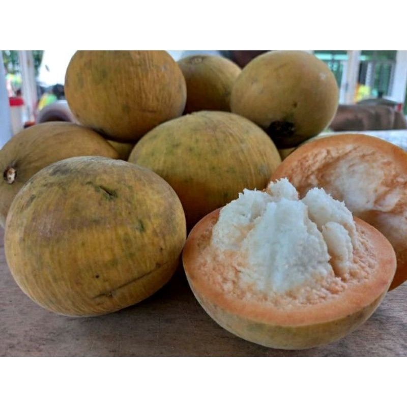 1KG BUAH SETOR BANGKOK FRESH | Shopee Malaysia