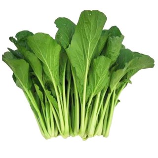 biji sawi hijau murah 300-500biji | Shopee Malaysia