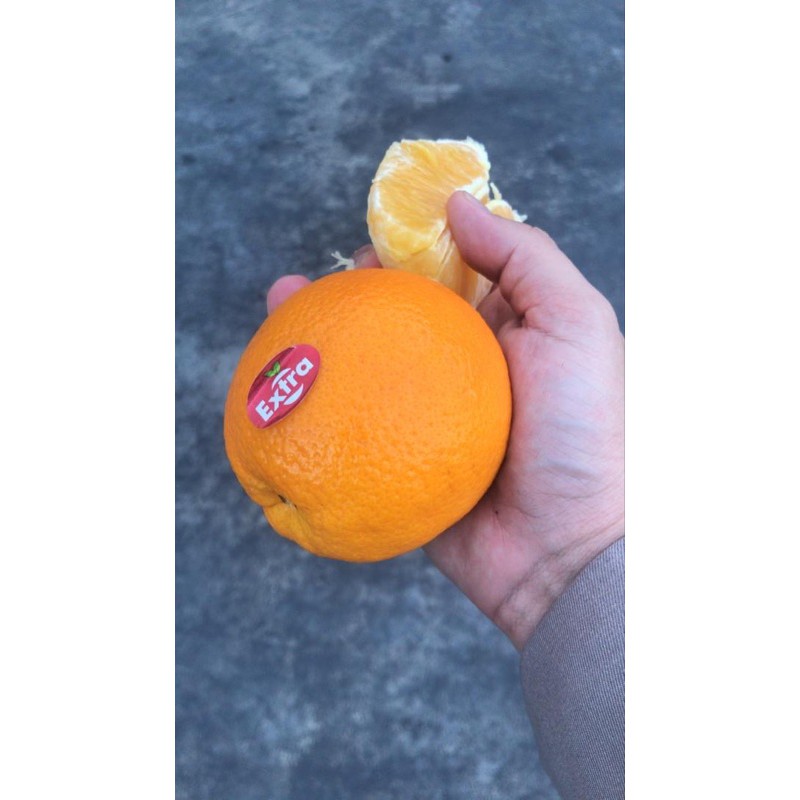 Oren Navel Mesir buah oren fresh oren viral oren mesir | Shopee Malaysia