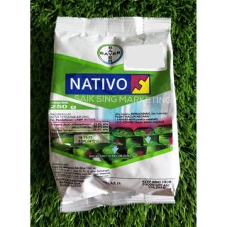 250G Nativo Trifloxystrobin 25% + Tebuconazole 50% Bayer Racun Kulat ...