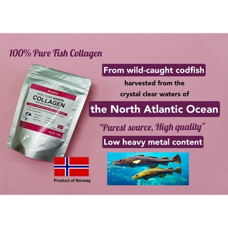 [Norway] 100% Pure Fish Collagen Powder/ Kolagen Ikan 200g *Halal ...