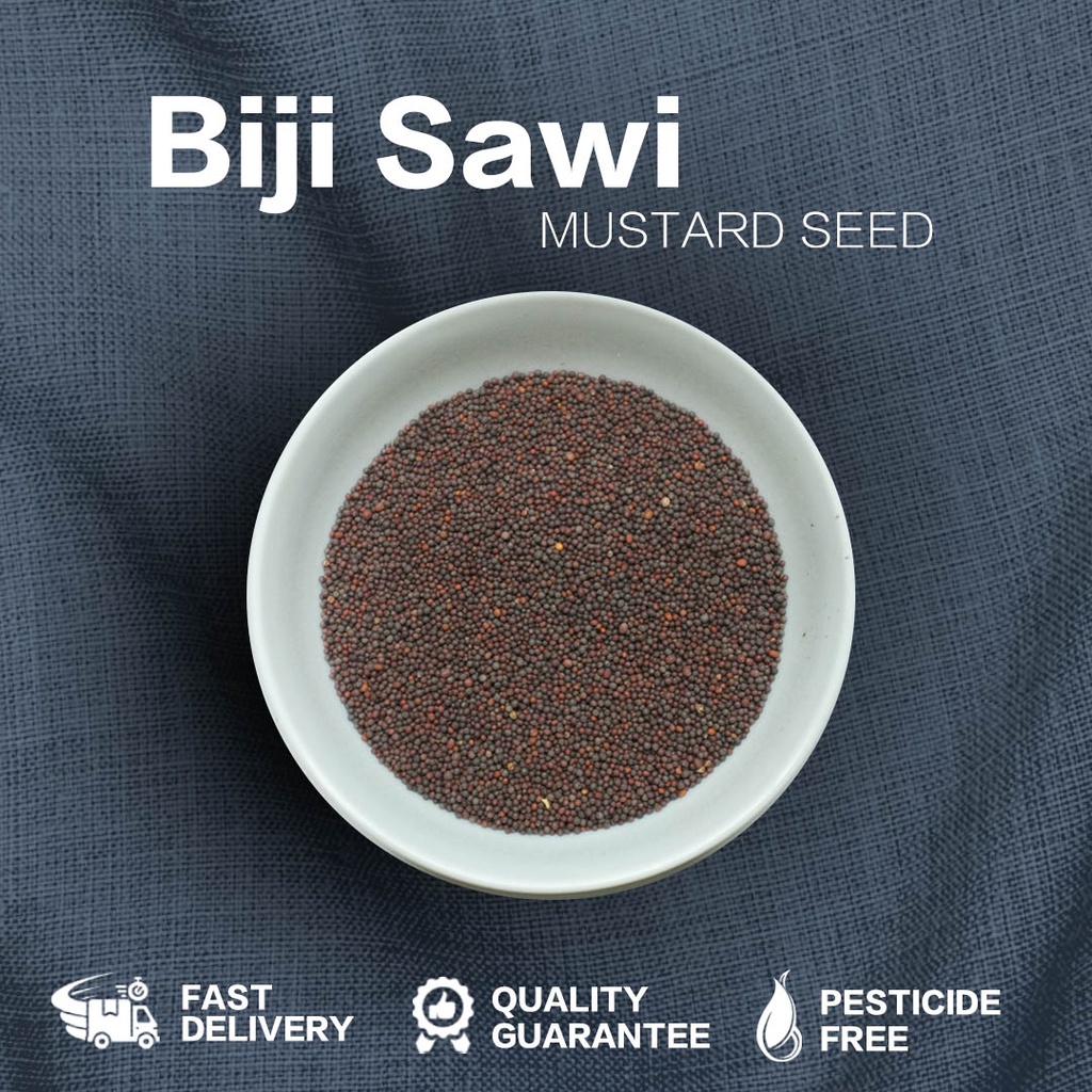 (HARGA BORONG) BIJI SAWI / MUSTARD SEED 100G/500G (READY STOCK ...