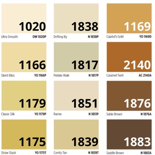 [Nippon Paint] Interior Paint Brown Color Series 1 Liter/ Easywash ...