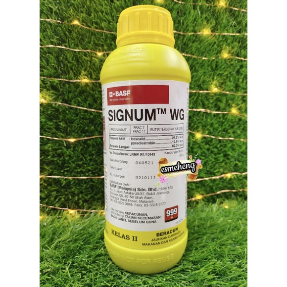 1L BASF Signum WG / Pyraclostrobin + Boscalid / Racun Kulat / Durian ...