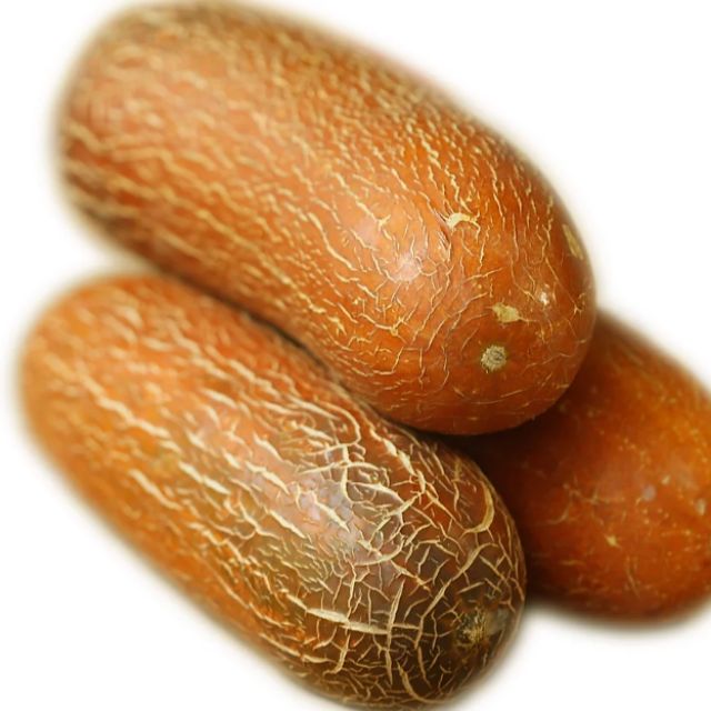 5 pcs Biji benih Timun tua / old cucumber seeds | Shopee Malaysia