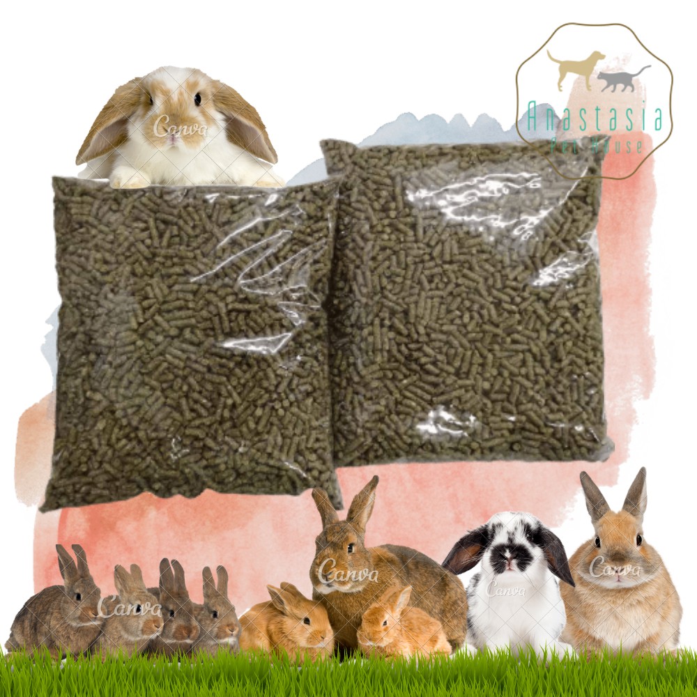 1Kg Rabbit Pellet Dedak Arnab Makanan Arnab Rabbit Food | Shopee Malaysia