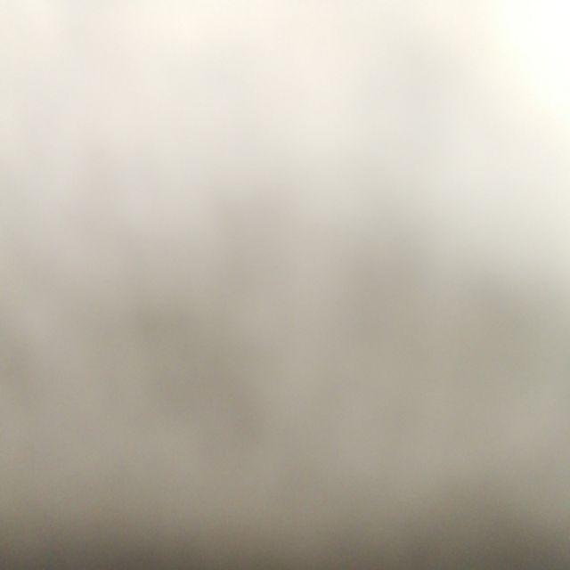 SCP Skim Wood Filler (TEAK/NATURAL) 500gm/1.5KG | Shopee Malaysia