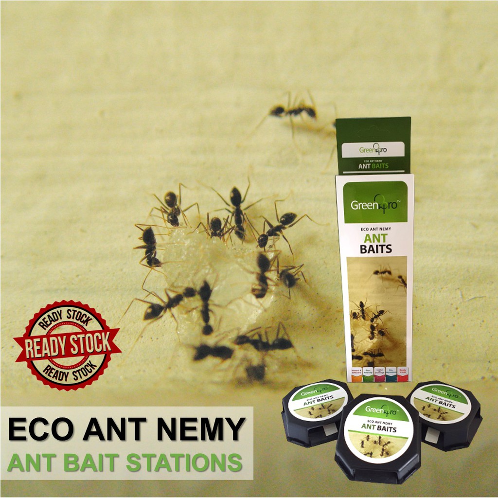 Eco Ant Nemy (Ant Bait / Eliminate Ants / 天然蚂蚁药 / Ubat Semut) *READY ...