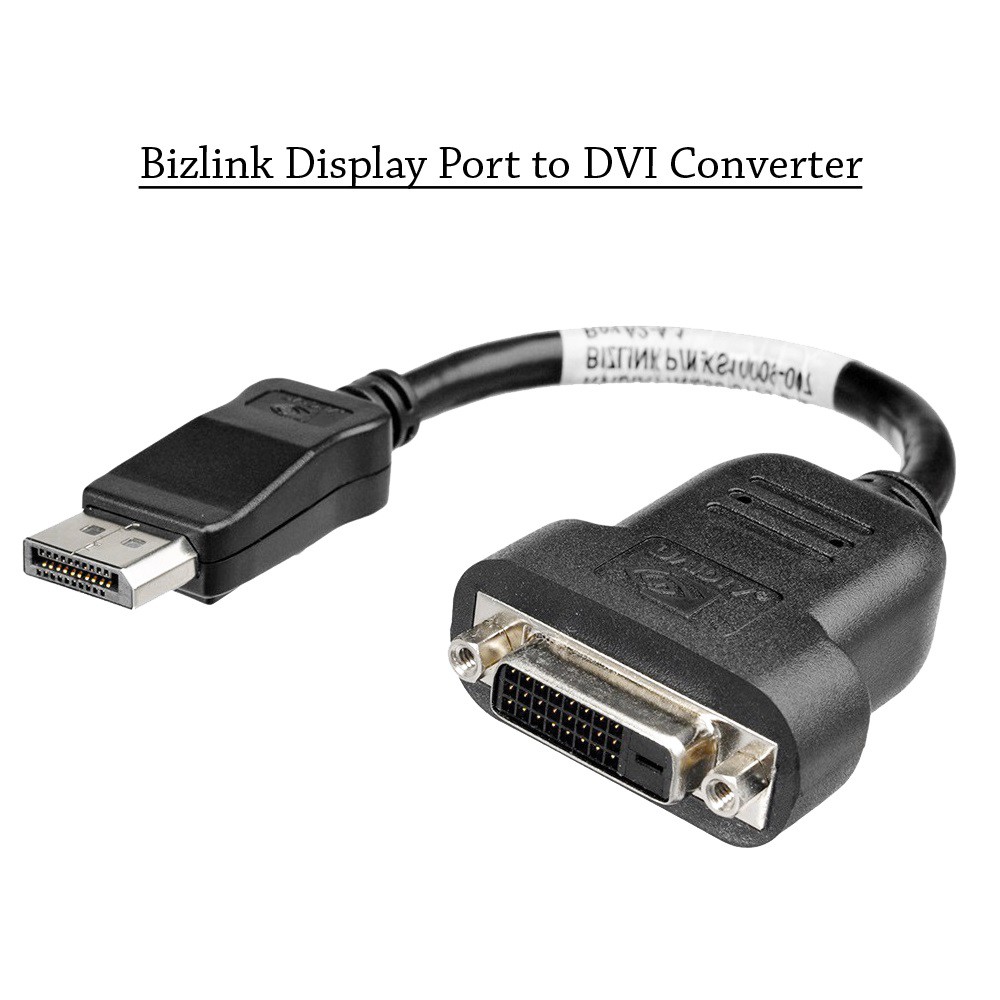 Bizlink DisplayPort to DVI-D Converter Cable Adapter | Shopee Malaysia