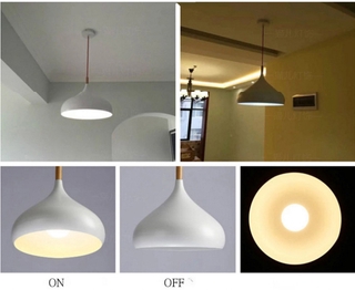 Nordic Style Scandinavian Muji Pendant Lighting single bulb designer ...