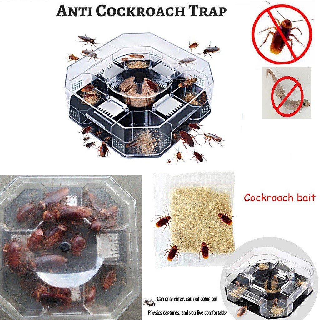 Bug spray cockroach spray pepijat Cockroach Lizard Trap Reusable ...