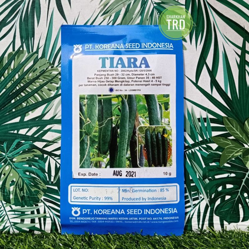 Paket 10g TIARA Biji Benih Timun Batang Jepun Japanese Kyuri Cucumber ...