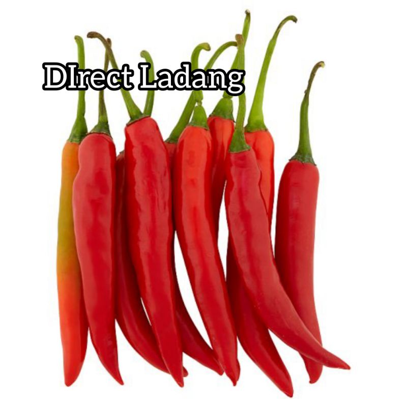 Cili Besar Direct Ladang | Shopee Malaysia
