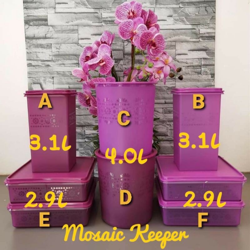 READY STOCK TUPPERWARE Mosaic Snack Stor | Keeper | One Touch Canister ...