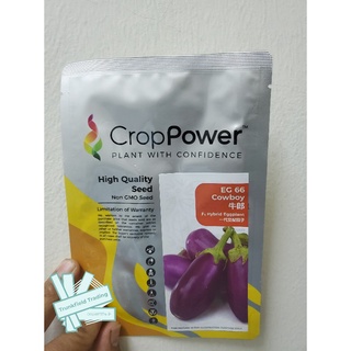 Benih Terung Mutiara Crop Power Cowboy EG66 F1 Hybrid (REPACK) 15 biji ...