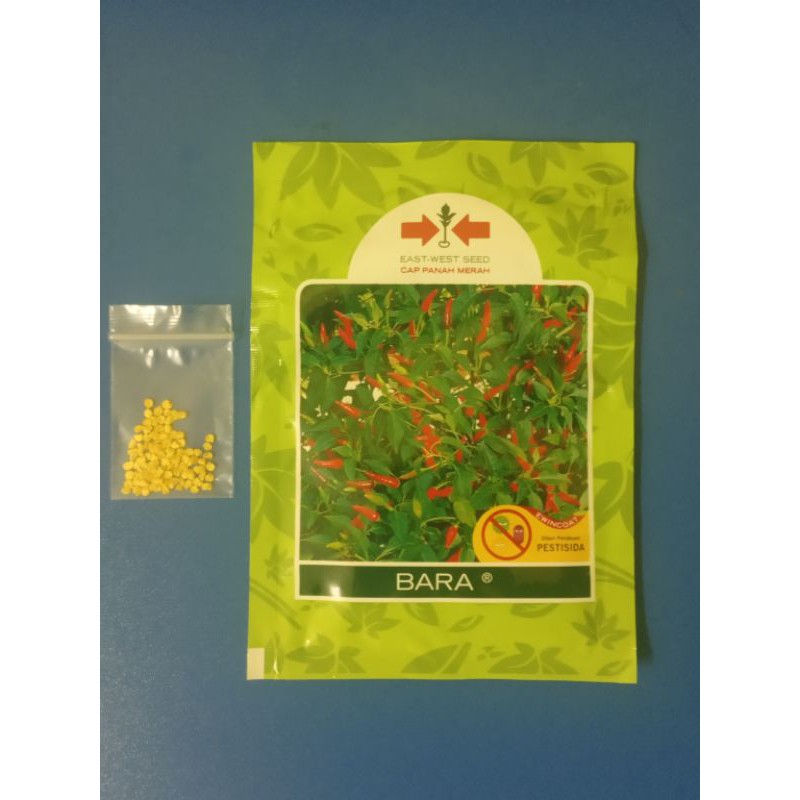 Biji Benih Cili Padi Cili Api Bara East West Seed Spicy Seeds F1 Hybrid ...