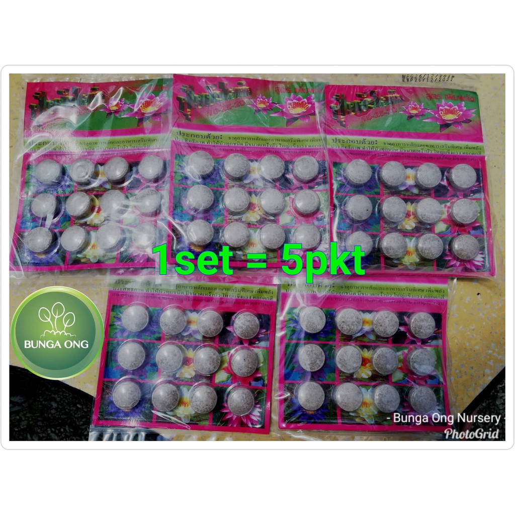 Bunga Ong Nursery, Online Shop | Shopee Malaysia