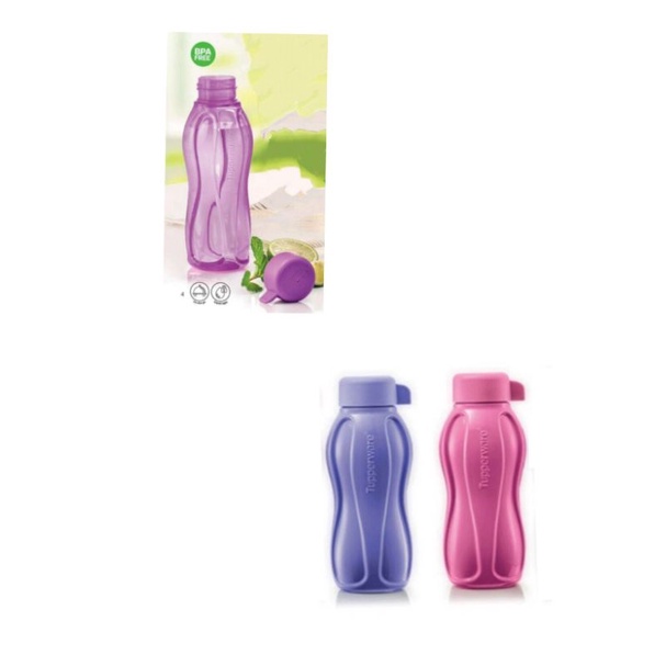 Tupperware Eco Bottle 310ml | Shopee Malaysia