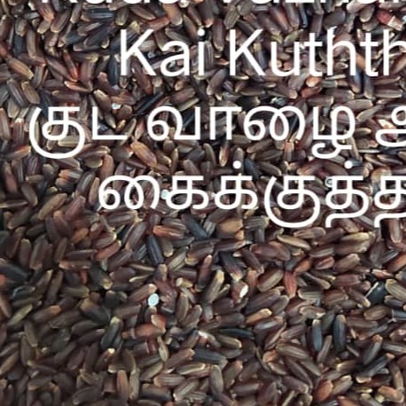 Colon Rice (KUdavazhai Arisi) Hand Polished Rice 500 gm | Shopee Malaysia