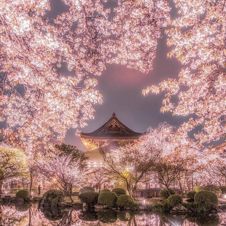 Niko x Niko Japan Store, Online Shop | Shopee Malaysia