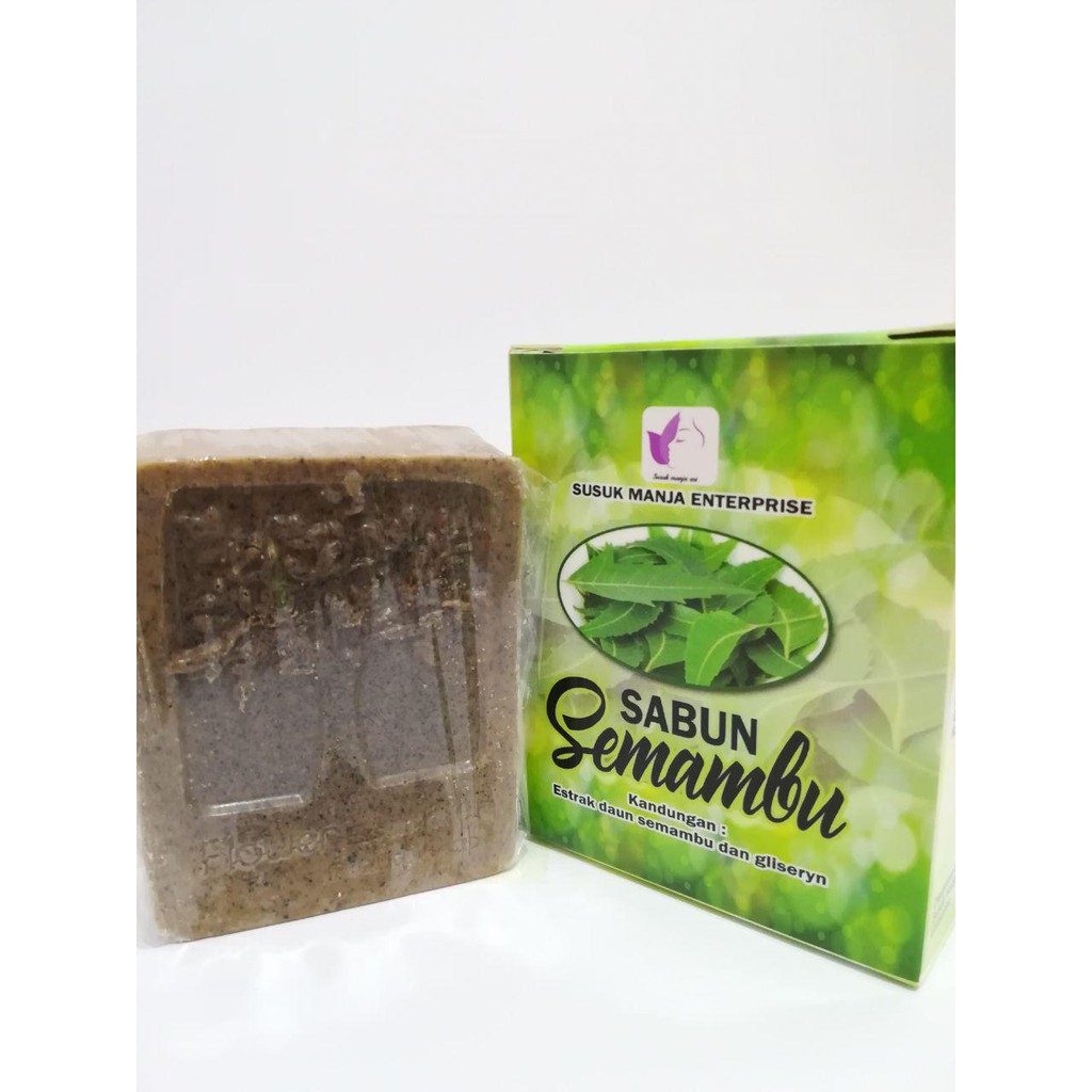 SUSUK MANJA Sabun Semambu 30g Daun Semambu Kegunaan Tradisional ...