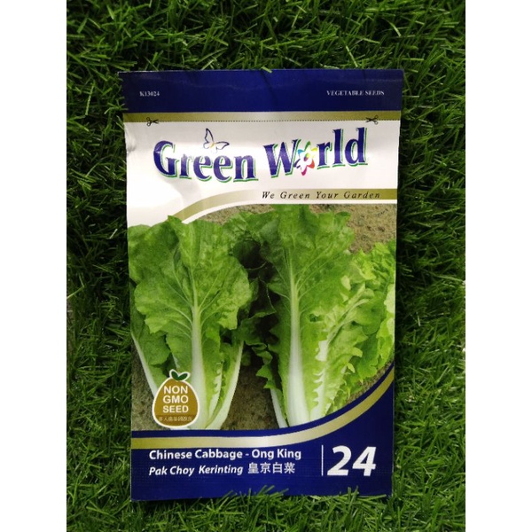 GW 24 - PAK CHOY KERINTING/CHINESE CABBAGE -ONG KING (300SEEDS ...