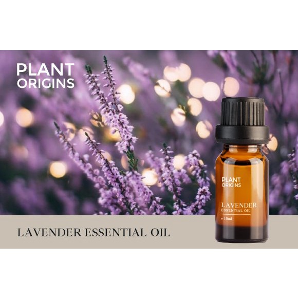 Plant Origins Lavender Essential Oil 10ml Shopee Malaysia