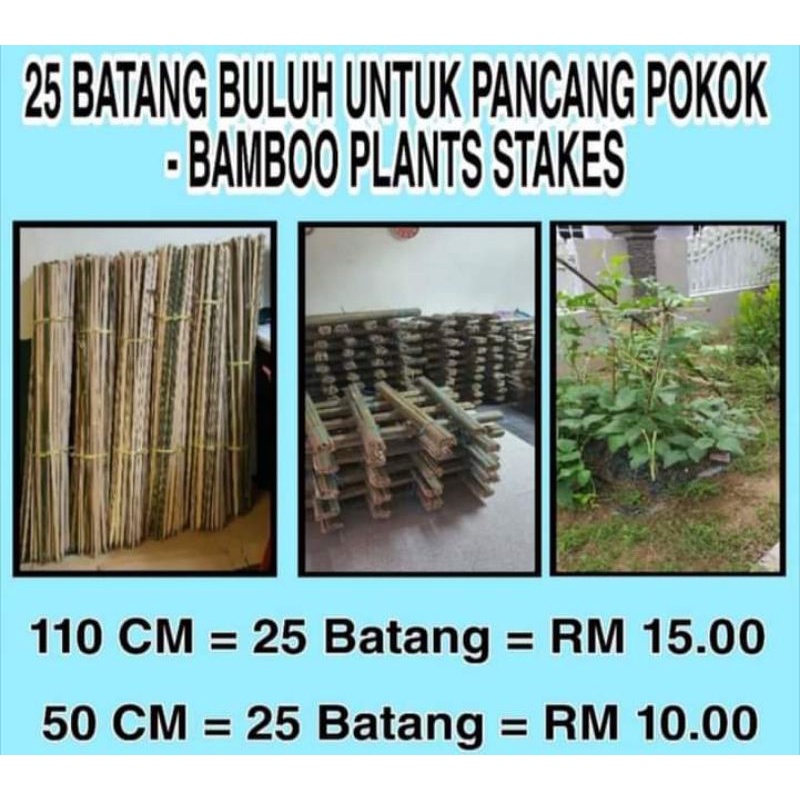 Buluh Pancang Pokok 1 SET 25 BATANG | Shopee Malaysia