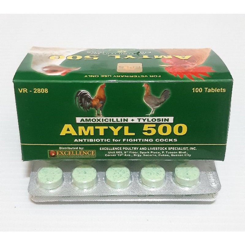 AMTYL 500 ( Antibiotic ) | Shopee Malaysia