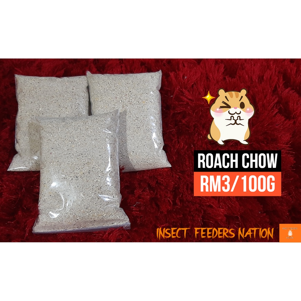 Balanced & Gut-Load Roach Chow | for Dubia/Turkistan Roaches, Beetles ...