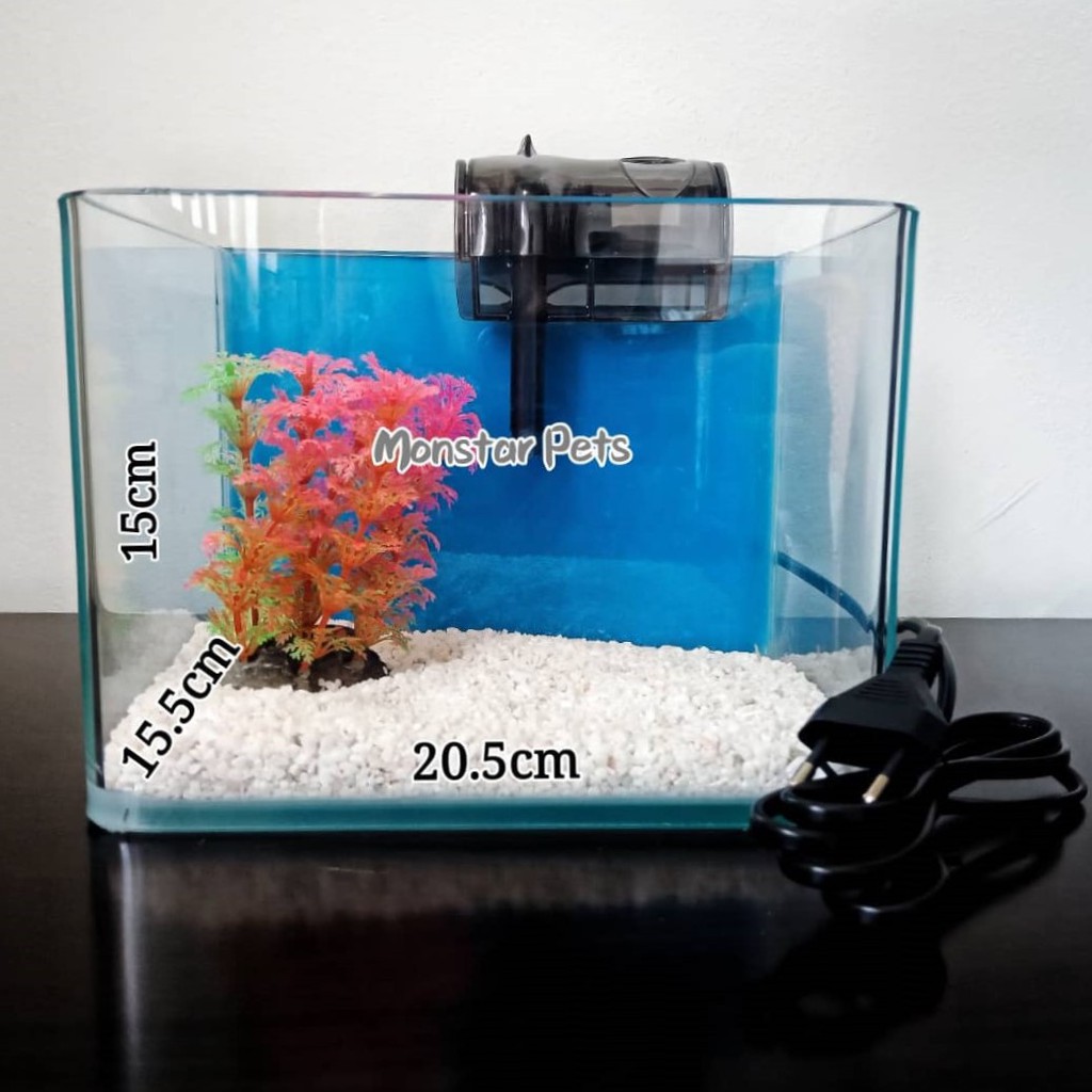 *Desktop Aquarium Set* M Size 3mm Thick Curve Glass Fish Tank Aquarium ...