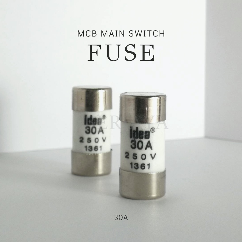 High Quality Fuse Link 30A 250V MCB Main Switch Fuse | Shopee Malaysia