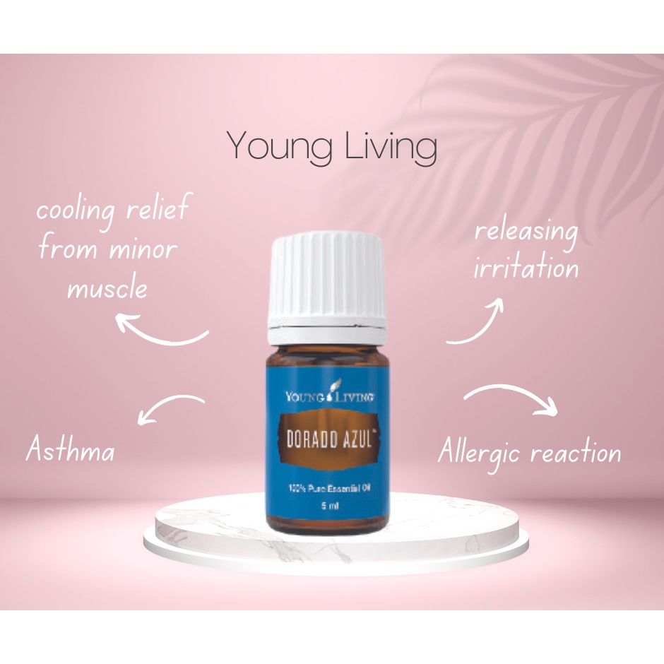 Young Living Dorado Azul Essential Oil 5ml | Shopee Malaysia