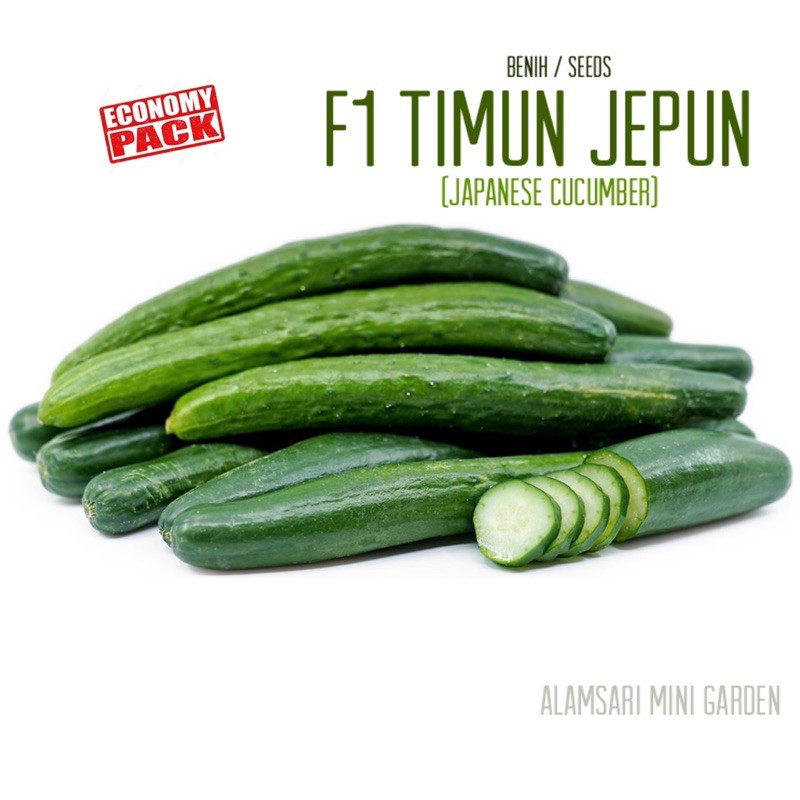 Biji Benih Timun Jepun : F1 Timun Jepun ( repack : 12 biji benih ...
