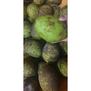Buah Macang kampung Fress | Shopee Malaysia