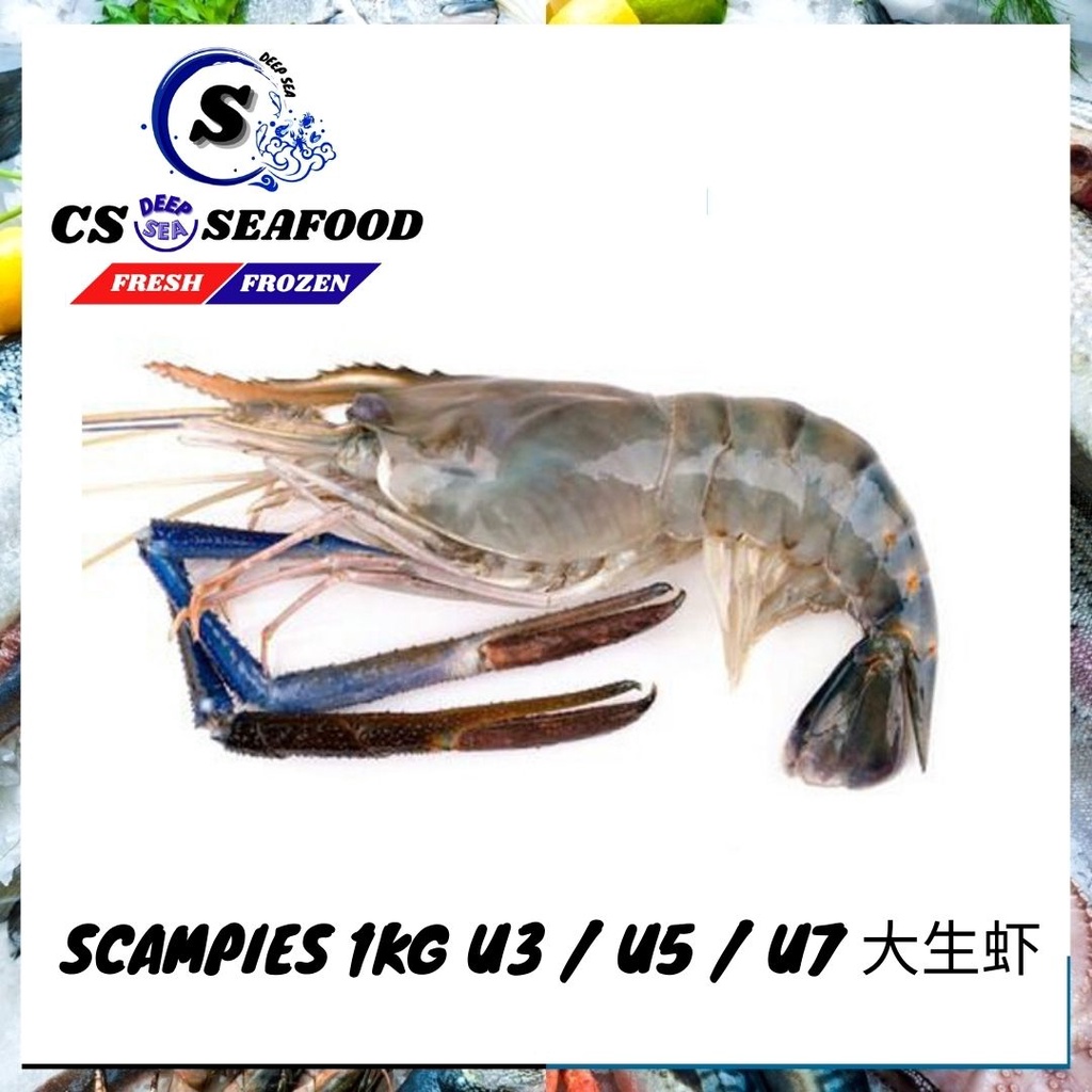 [CS Deepsea] Udang Galah India | India Scampi Big Head Prawn U3 / U5 ...