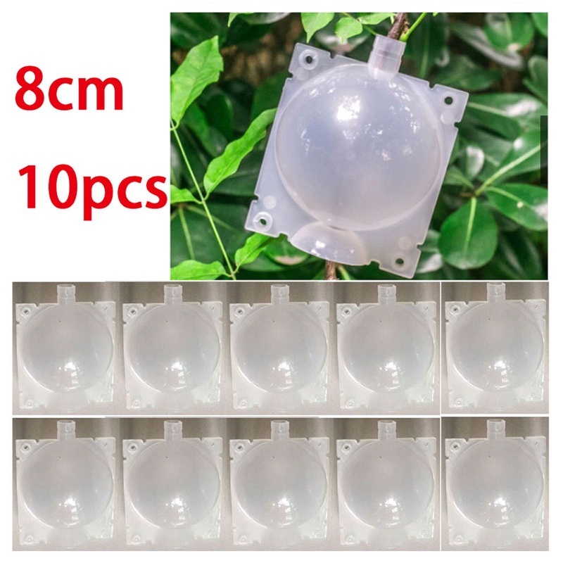 8cm 10pcs Fruit Plant Tree Rooting Ball Root Box Plastic Case ...