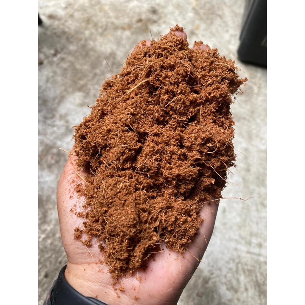 SABUT KELAPA HALUS (GUNI) KAK ROS BAJA | Shopee Malaysia