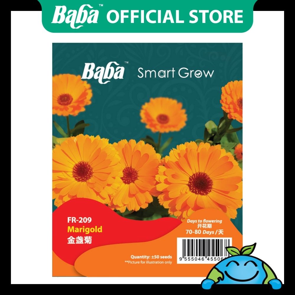 Baba Official | Baba Smart Grow Seed: FR-209 Marigold [50 seeds ...
