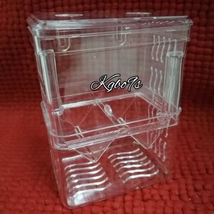 Aquarium Breeding Box for Fish (guppy/molly/platy) | Shopee Malaysia