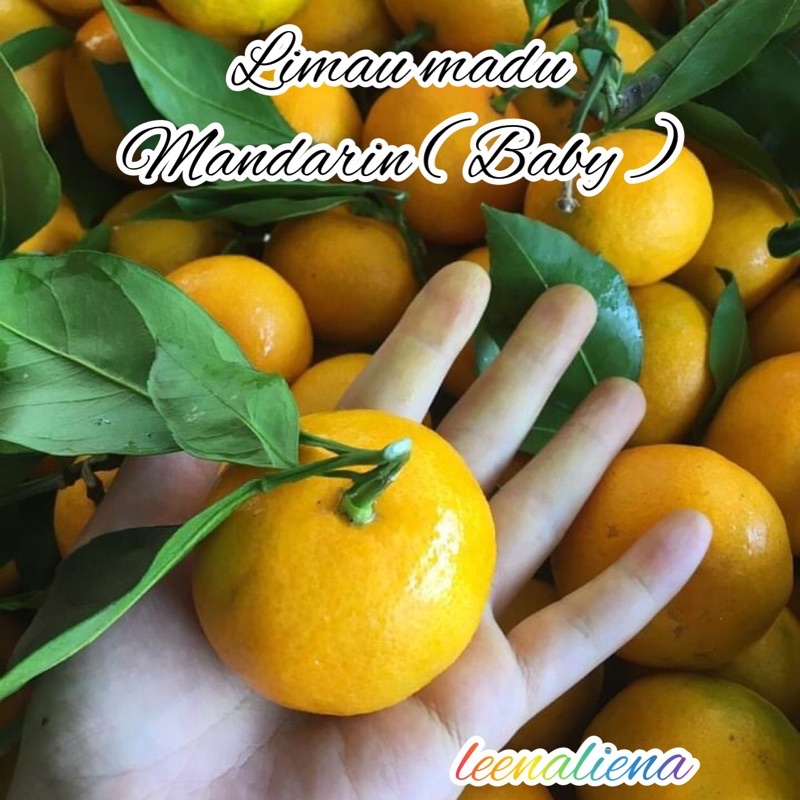 LIMAU MADU MANDARIN ( BABY) 500gram | Shopee Malaysia